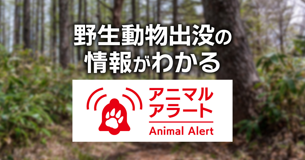 アニマルアラート